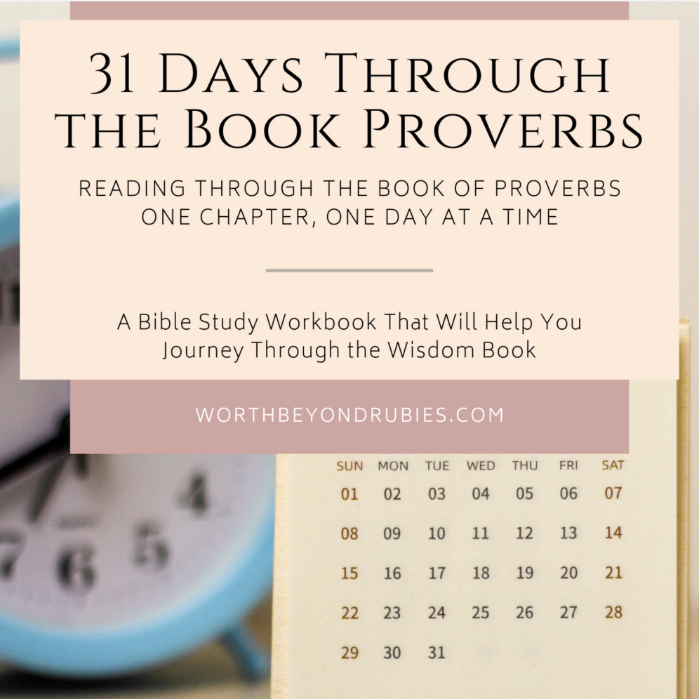 31 Days Through the Book of Proverbs - Bible Study Workbook – She Opens ...